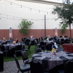 Octane Raceway | High Speed Go Kart Racing in Scottsdale Arizona